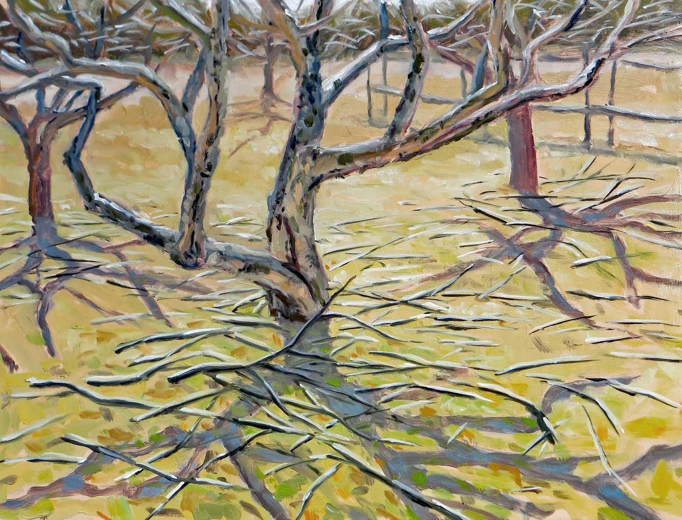 Pruning — Apple Trees – Margie Guyot Art