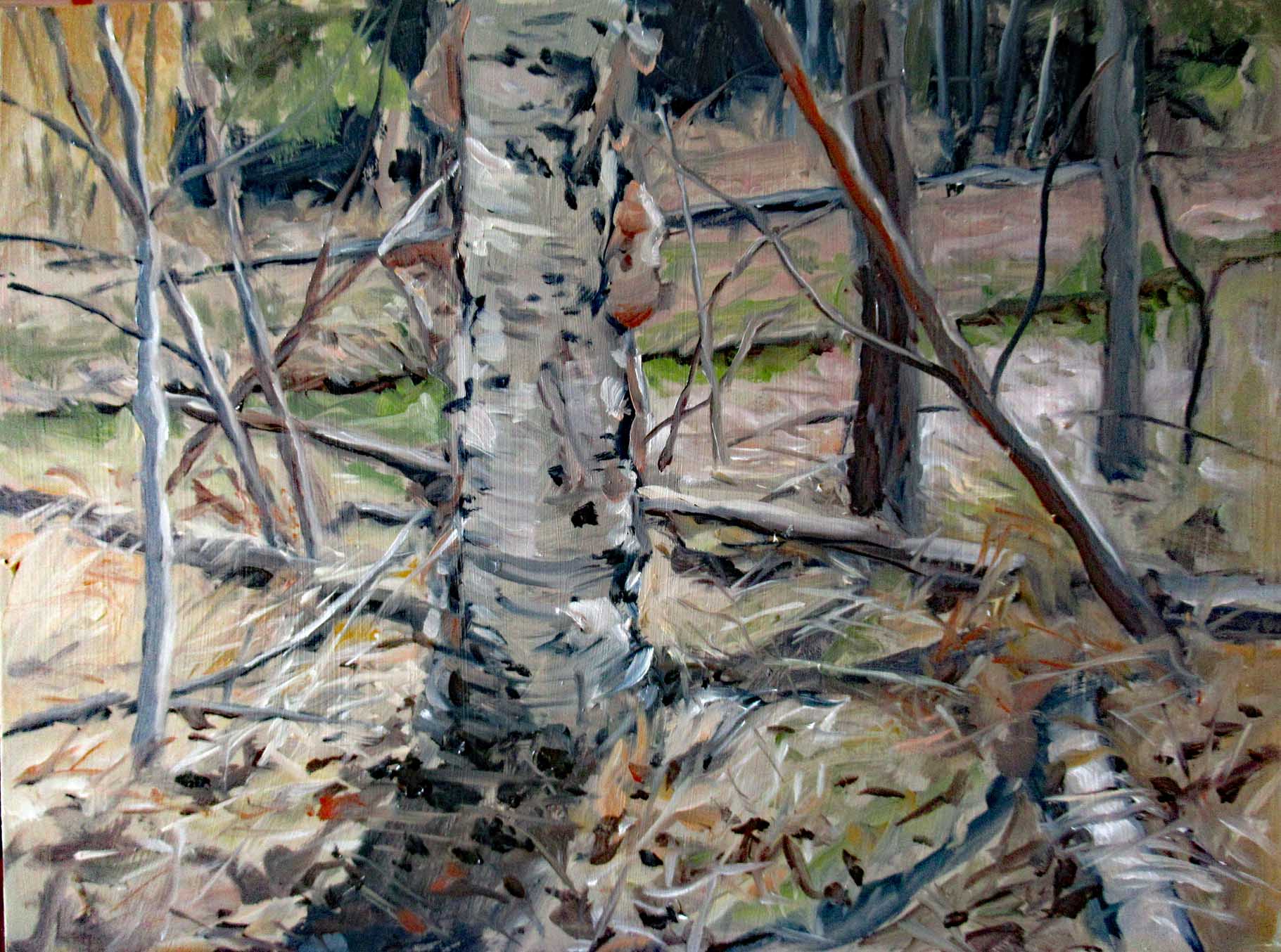 “Birch” – Margie Guyot Art