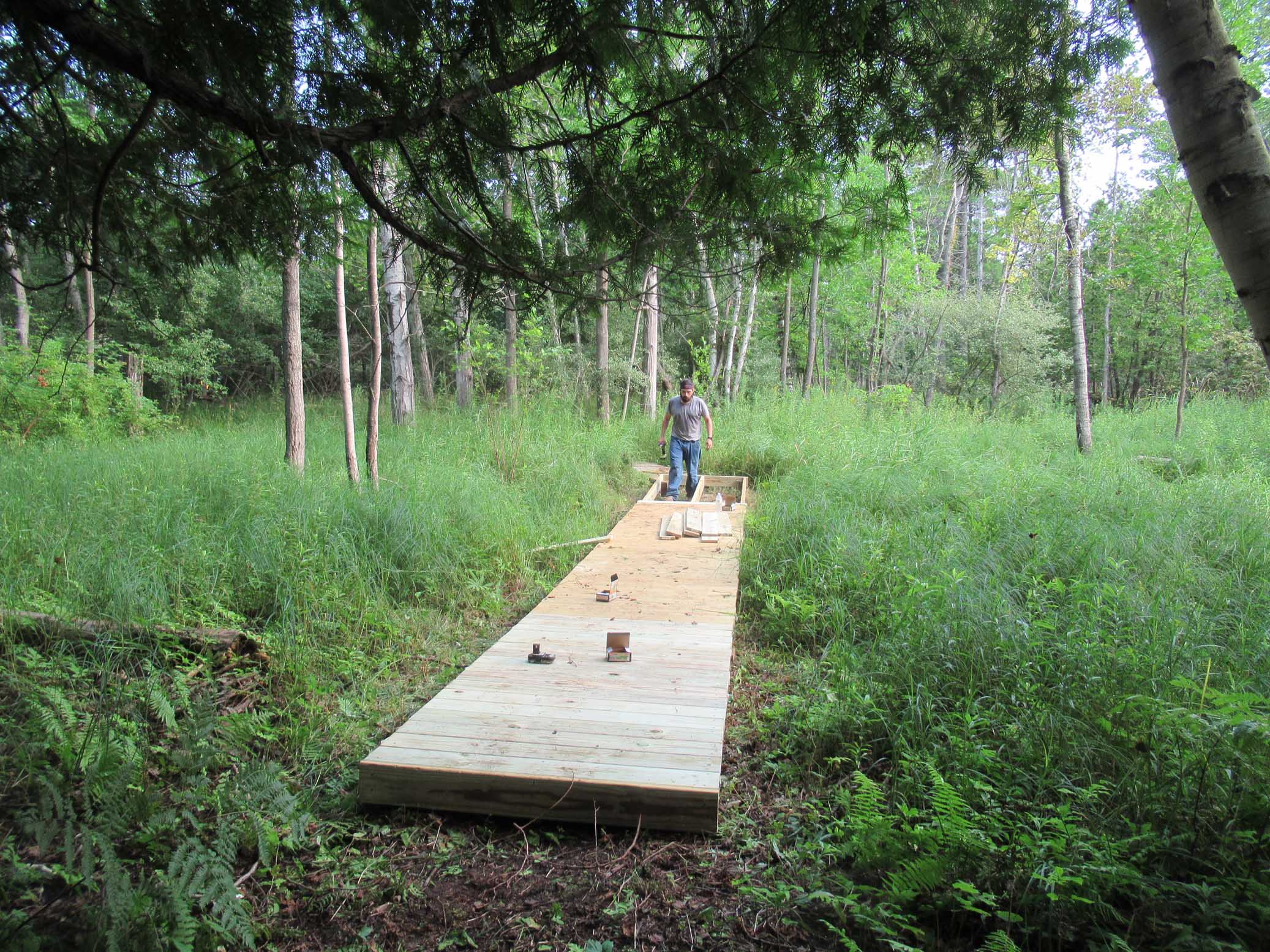 Hot Day/Cool Shade – Margie Guyot Art